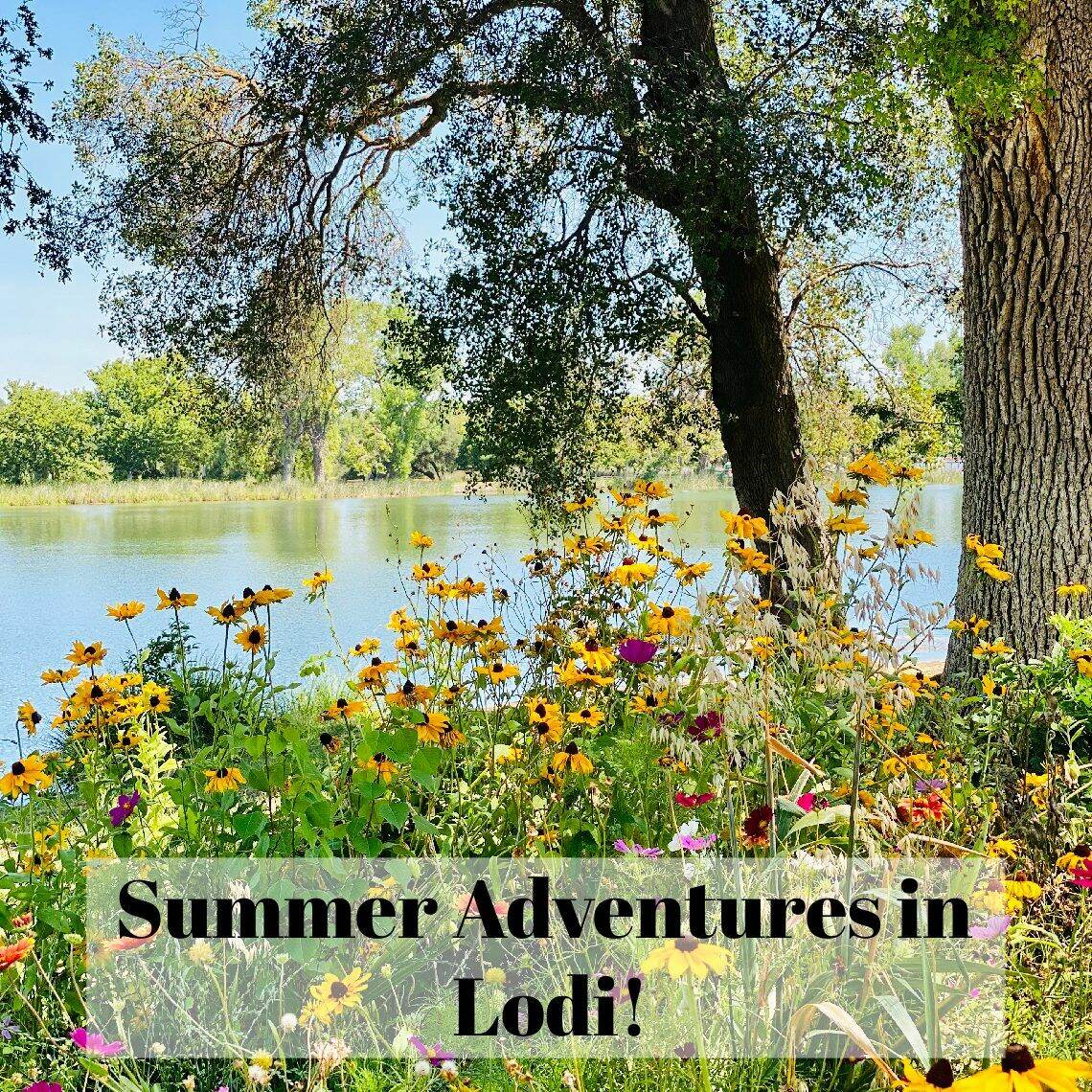 Five Things to Take on Your Summer Adventure! | Create With Cynthia